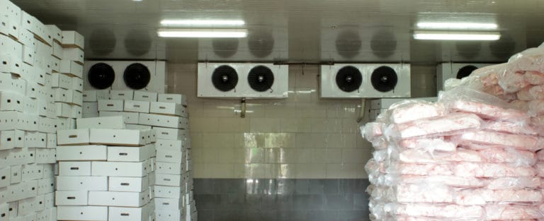 Things to Consider Before Buying Cold Storage - Harn Engineering Solutions